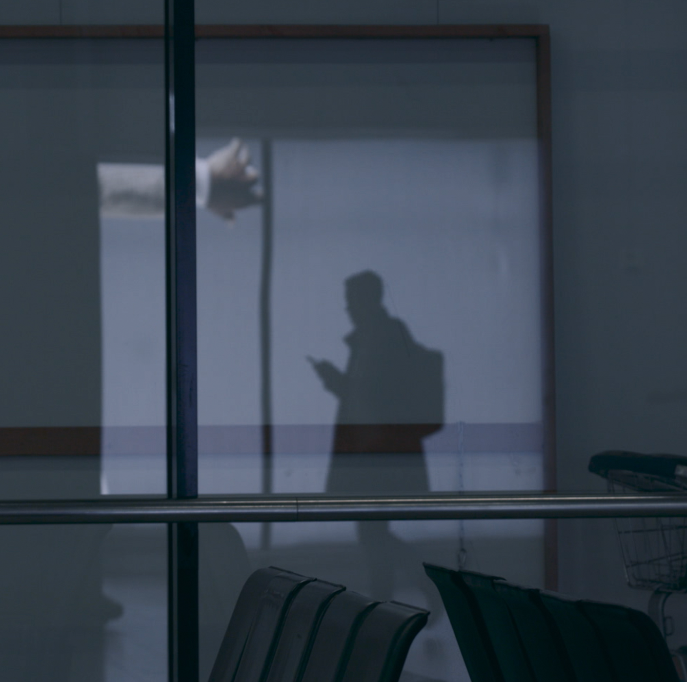 Interview with Kate Stonehill, Director of Phantom Parrot | Open Rights ...